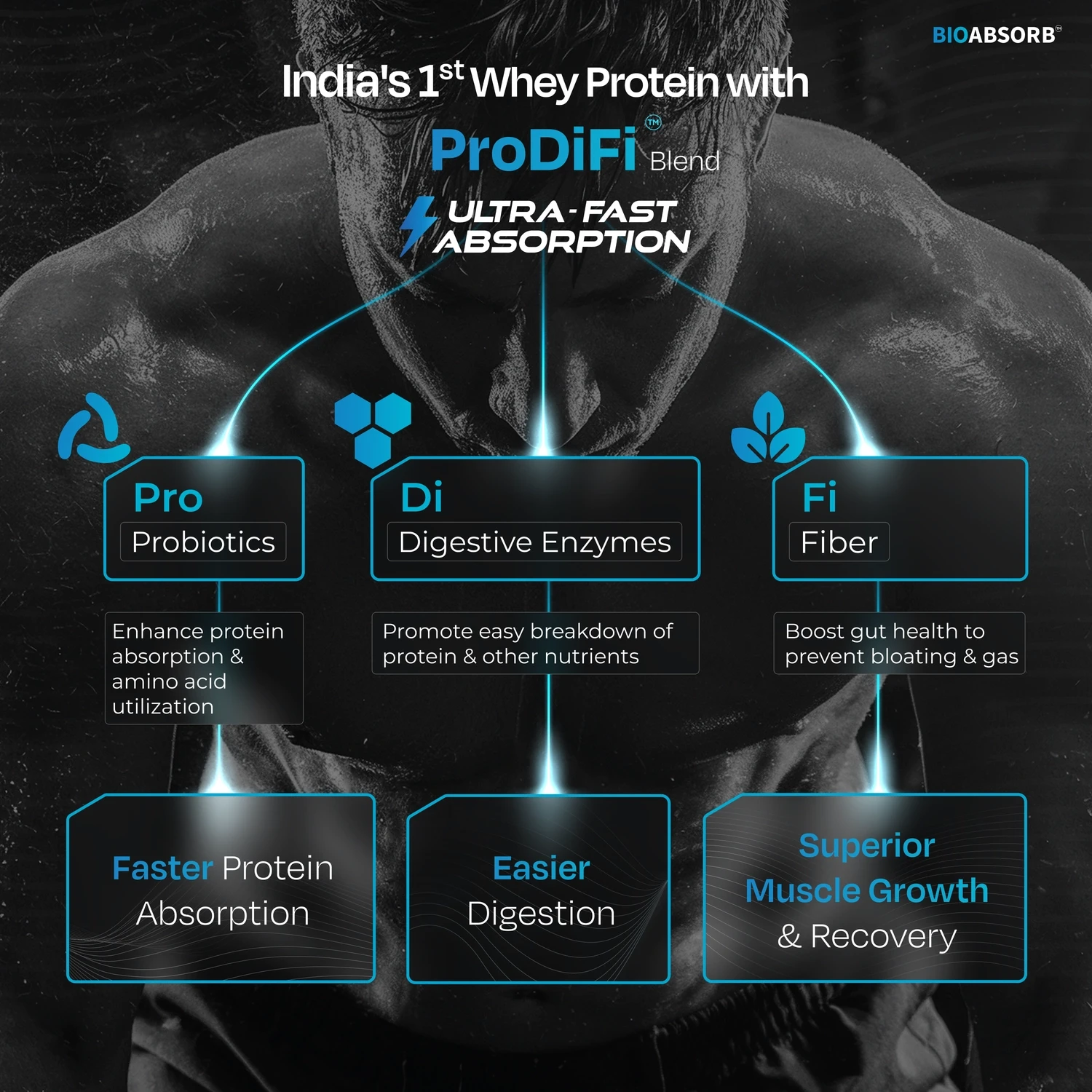 Nutrabay BioAbsorb™ Whey Protein Powder, 26g Protein Per Serving ...